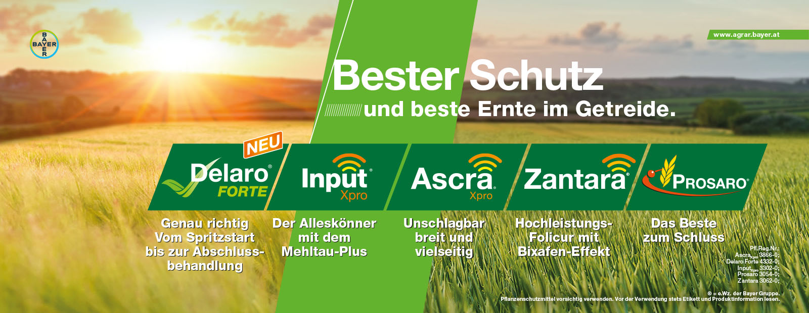 Bayer Austria GmbH